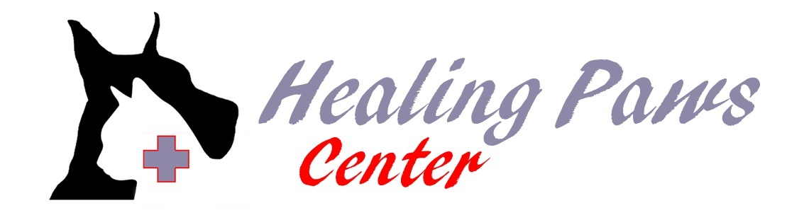 Healing Paws Center | Holistic Vet in Fort Lauderdale, FL